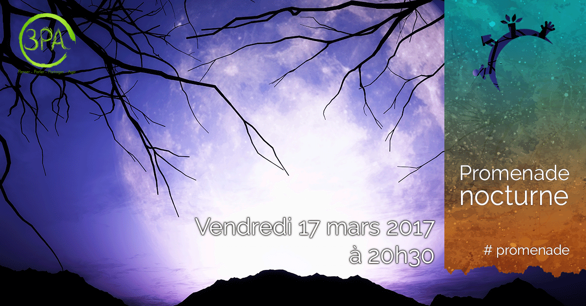 Promenade nocturne avec 3PA - Vendredi 17 mars 2017 - Départ de la ...